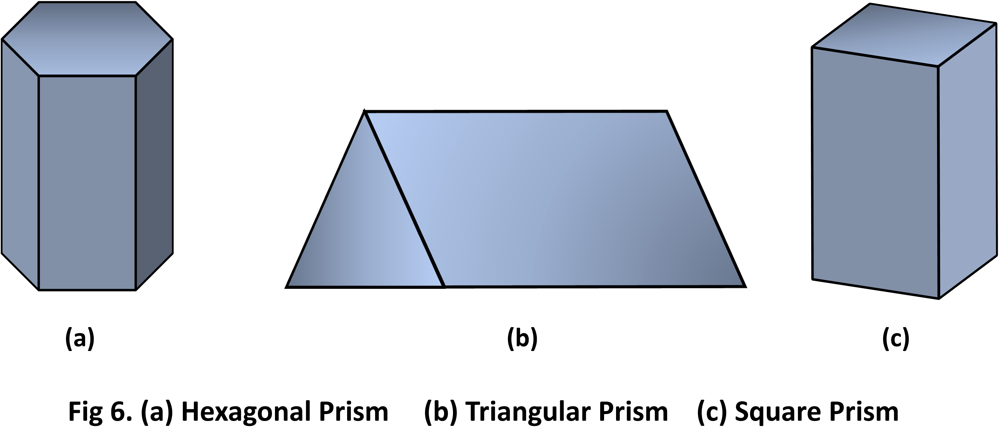 Virtual Labs